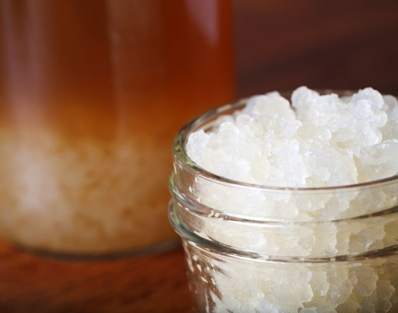 KefirKombuchaJun – Maroc – Recherche de don